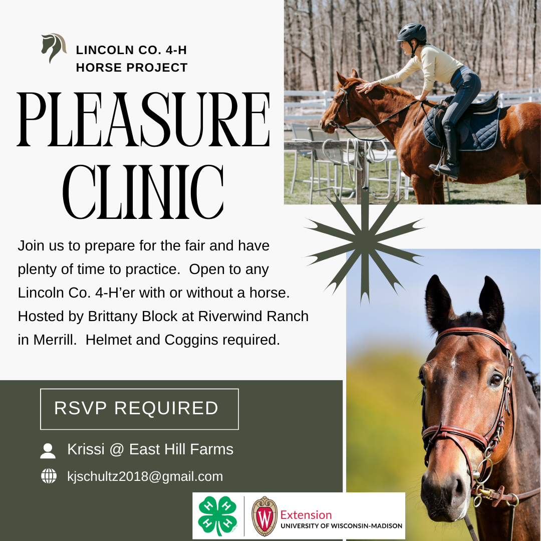 Pleasure Horse Clinic – Extension Lincoln County