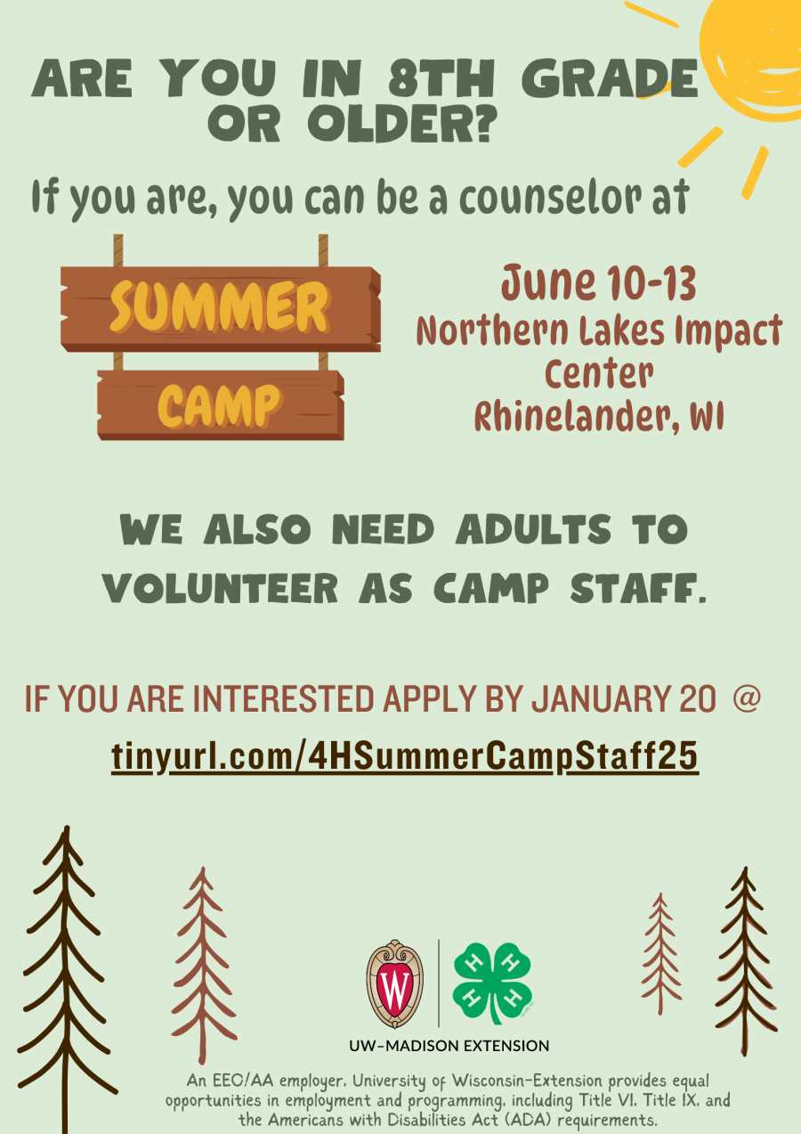 2025 Summer Camp Staff Needed! – Extension Lincoln County